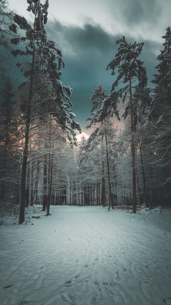 19 Beautiful Winter Scenes to Inspire Your Holiday Spirit (Updated 2026)